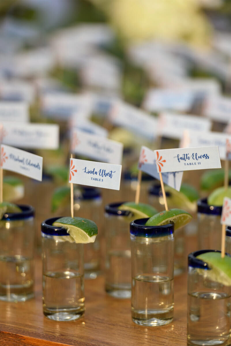 Puerto Vallarta Area Weddings | The St. Regis Punta Mita Resort | Lacey ...