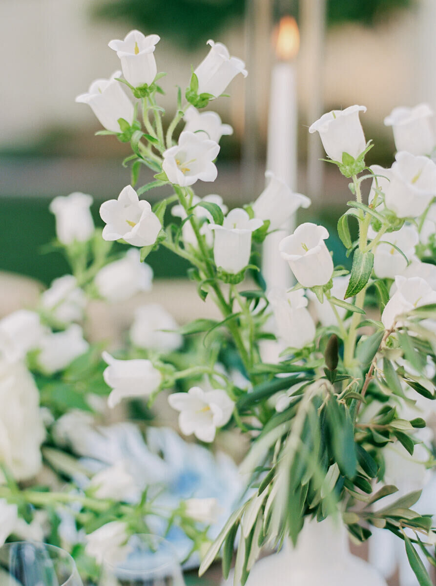 Napa Area Weddings | Solage, Auberge Resorts Collection | Lily & Garrett