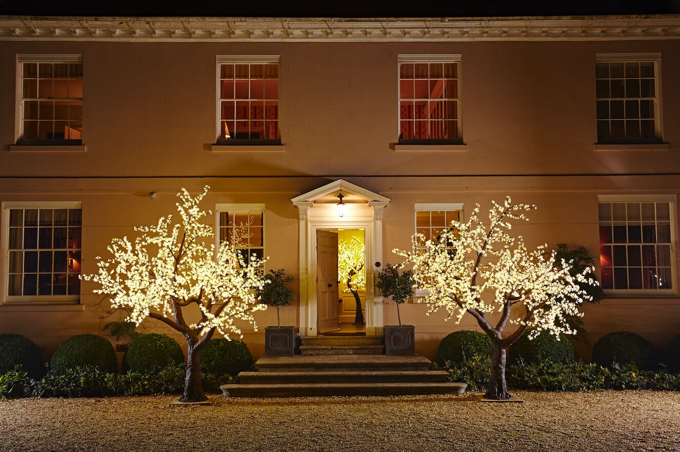 Twilight Trees | Wedding Lighting & Decor | UK