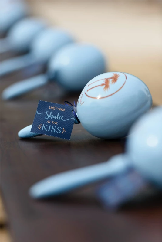 Puerto Vallarta Area Weddings | The St. Regis Punta Mita Resort | Lacey ...