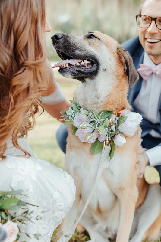 Gainesville Area Weddings | Sweetwater Branch Inn | Paige & Igor